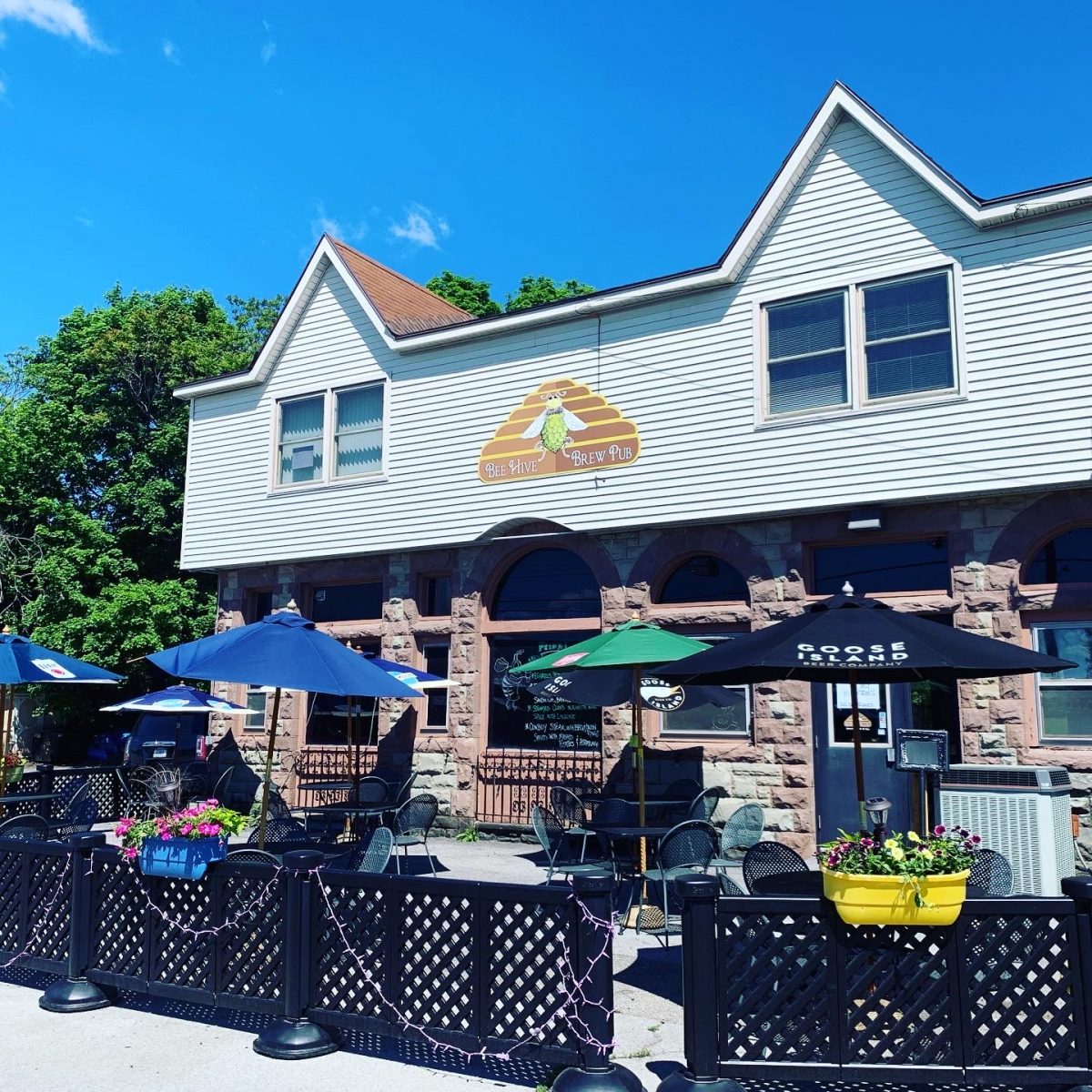 The Bee Hive Brew Pub